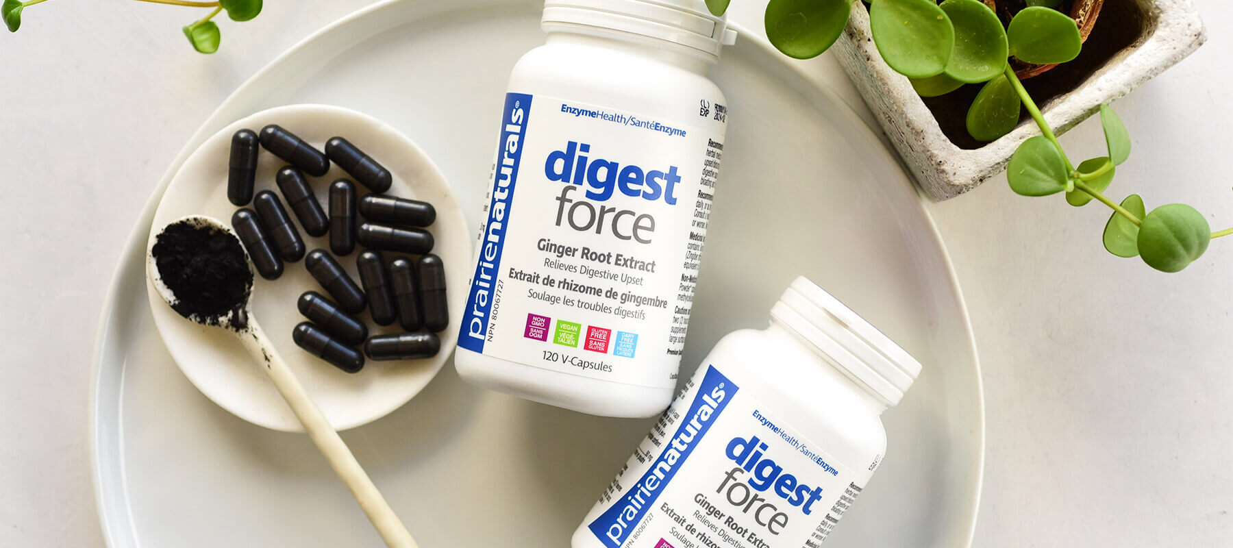 Optimum Health & Kolya | Enzymes for Gut Health