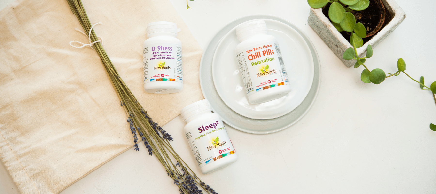 Optimum Health | Stress Management: Feeding the Brain by New Roots