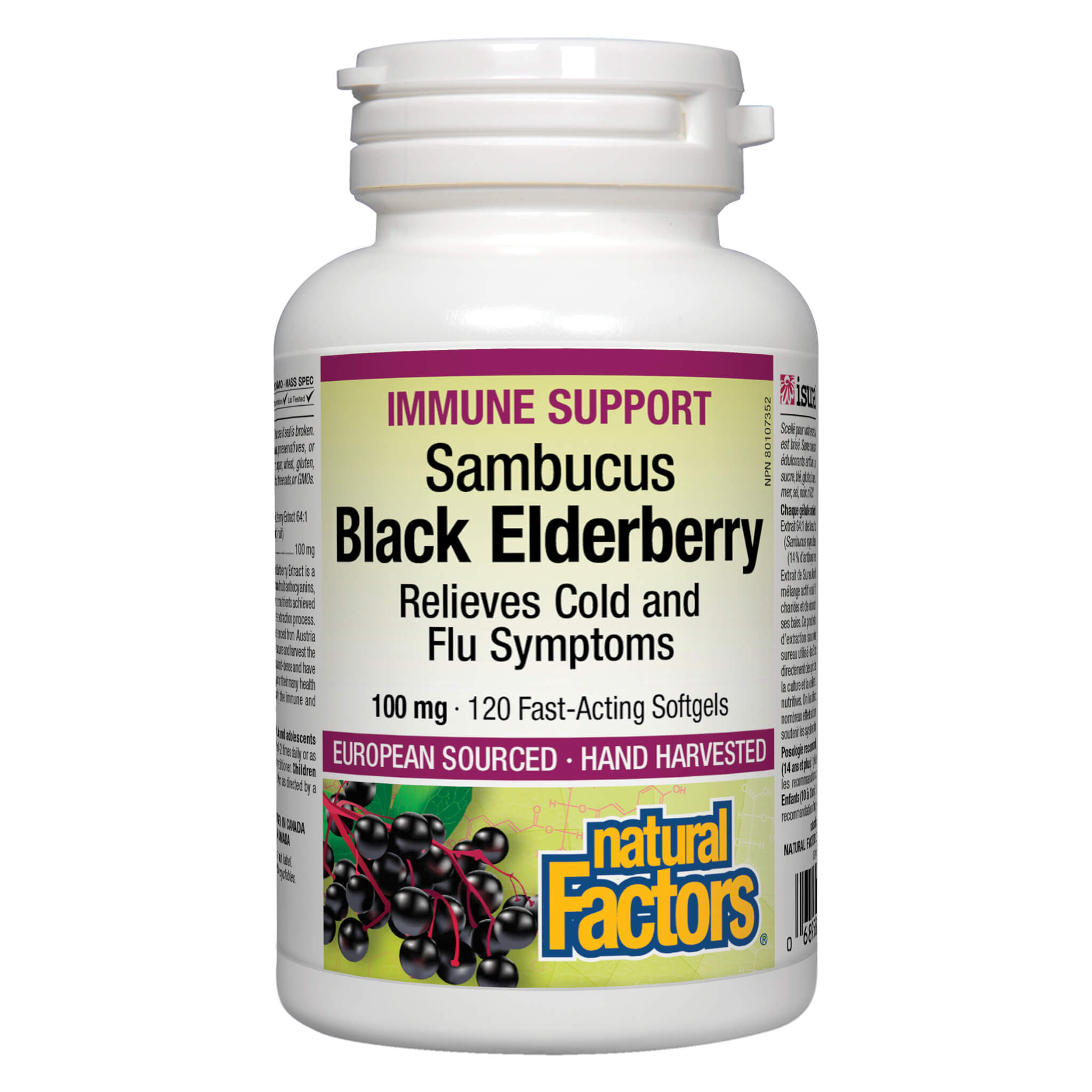 Optimum Health | Natural Factors Black Elderberry 100 mg Standardized ...