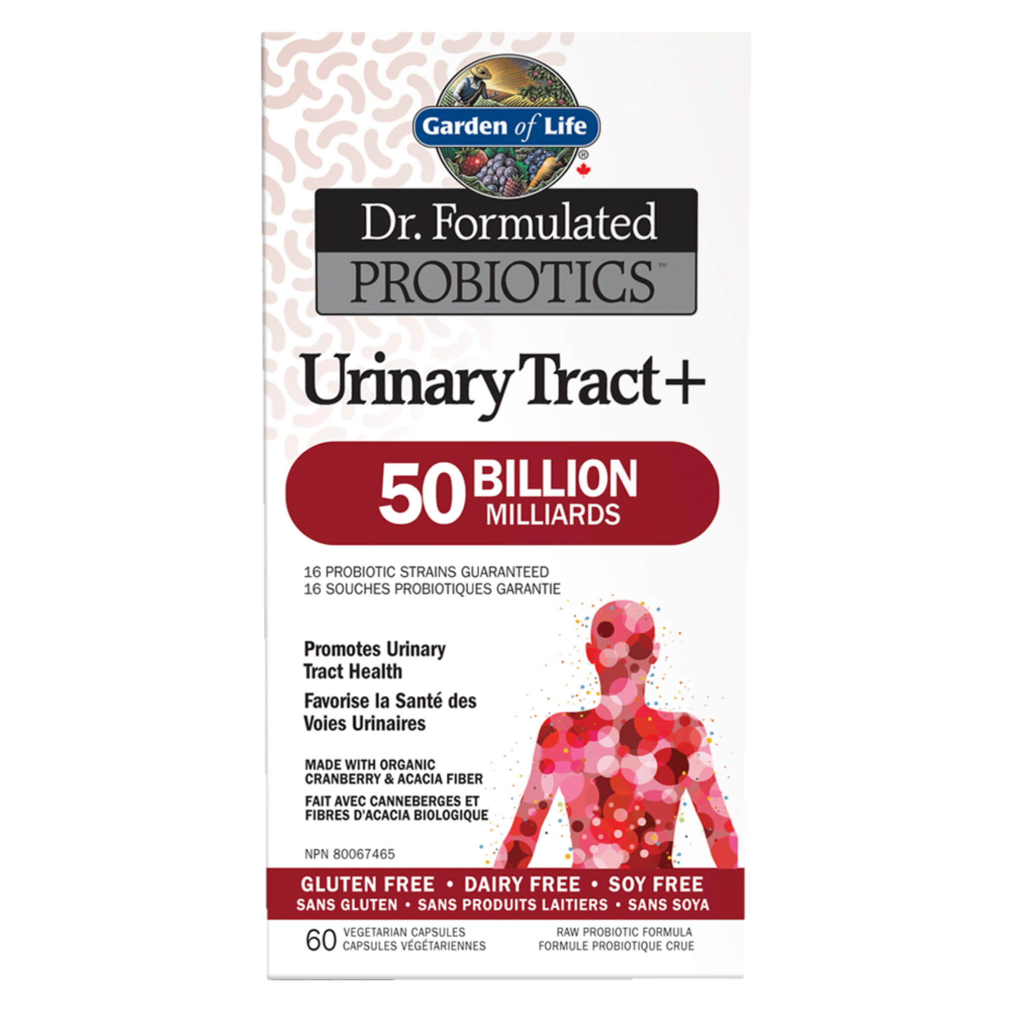 Optimum Health | Garden of Life Dr. Formulated Probiotics Urinary ...