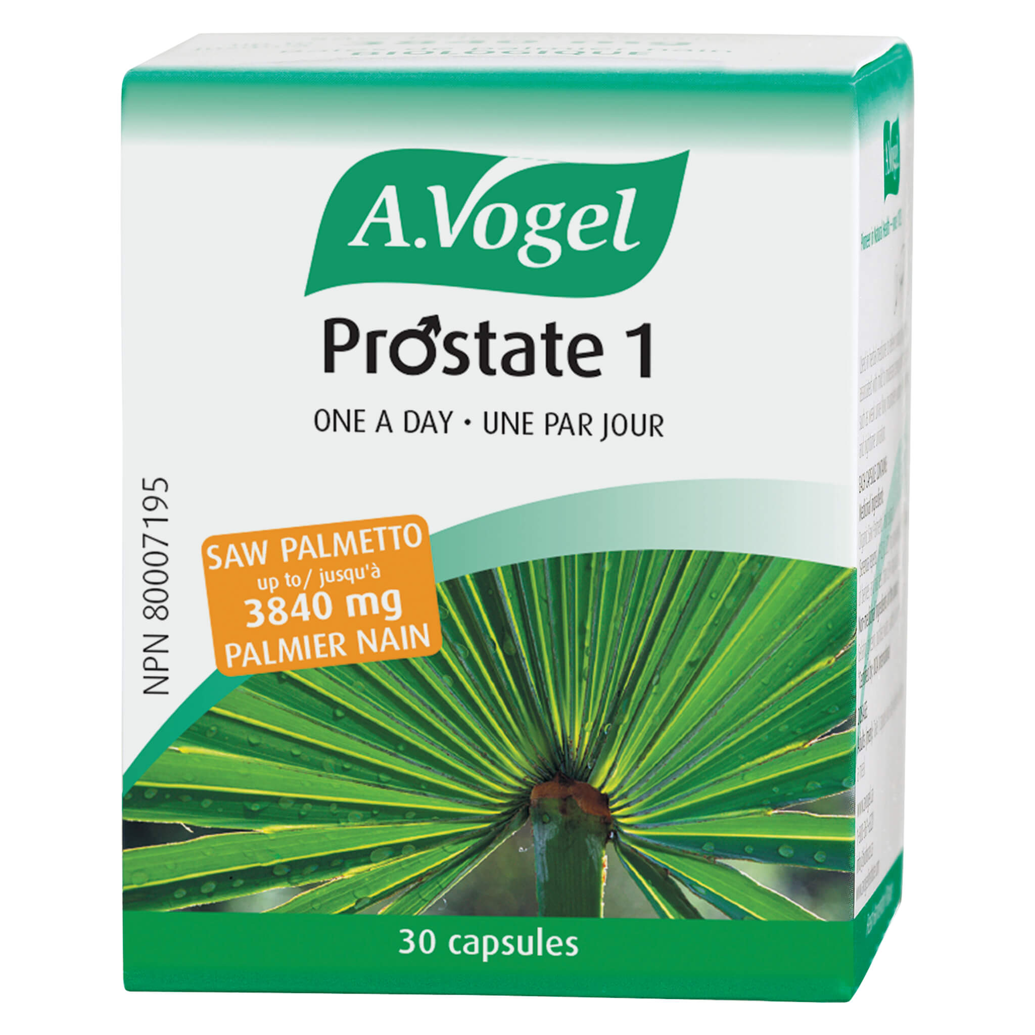 Optimum Health | A. Vogel Prostate 1 (Sabalasan) One A Day